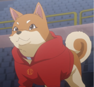 Misfit Clan - The Bakugan Wiki