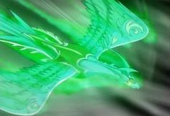 Skyress/Gallery - The Bakugan Wiki