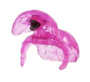 Nanogan - The Bakugan Wiki