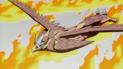 Falconeer/Gallery - The Bakugan Wiki